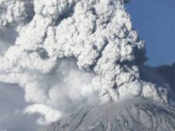 Absolute Quantum Gravimeter - Muquans